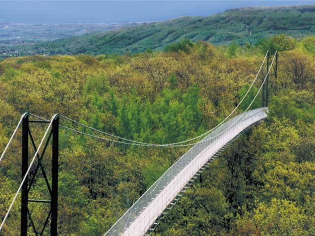 Suspension-Bridge at Scenic Caves Nature Adventures – Attractions Ontario
