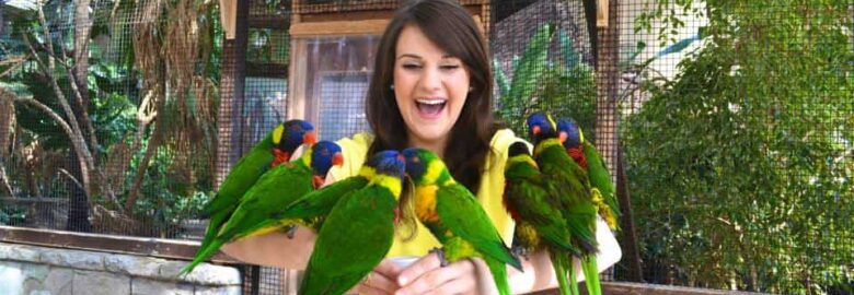 Bird Kingdom – Attractions Ontario