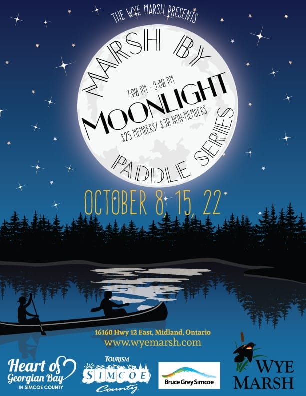 wm-moonlight-paddle – Attractions Ontario