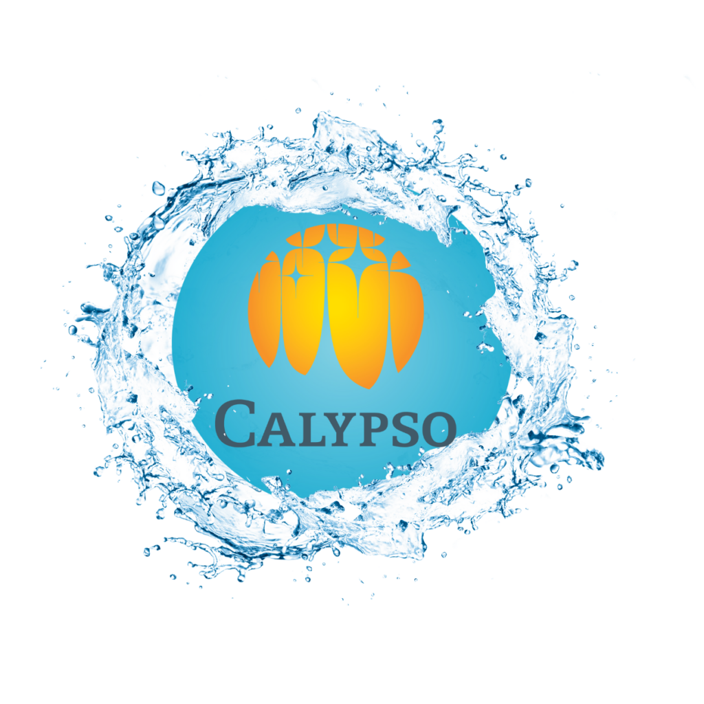 Calypso Waterpark – Attractions Ontario