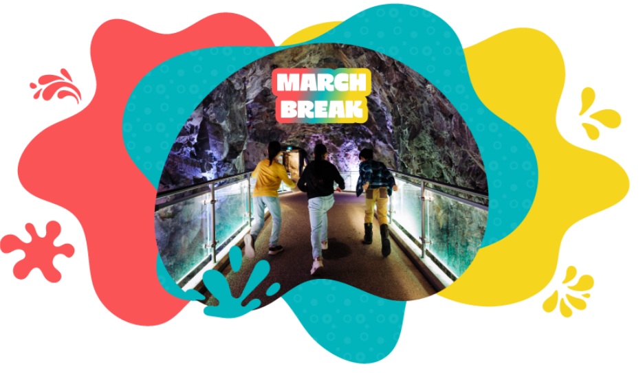 March Break Events 2026 – Attractions Ontario